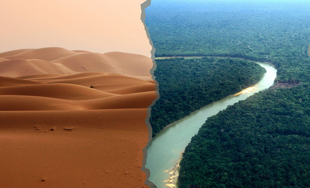 A Love Letter Written in Sand: The Tale of the Sahara and the Amazon ...