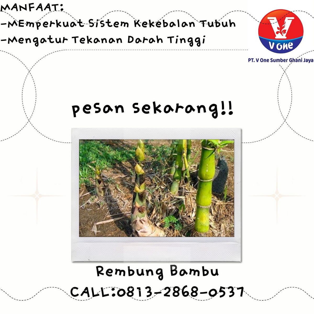 Pusat Budidaya Herbal Rebung Bambu Bermanfaat Tambak Bayumas - Pusat ...