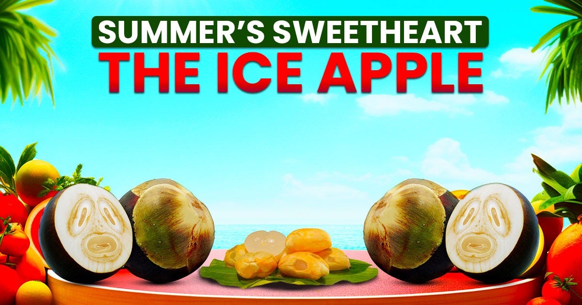 The Unique Benefits of Ice Apples|bookmyblogs | by Bookmyblogs | Apr ...