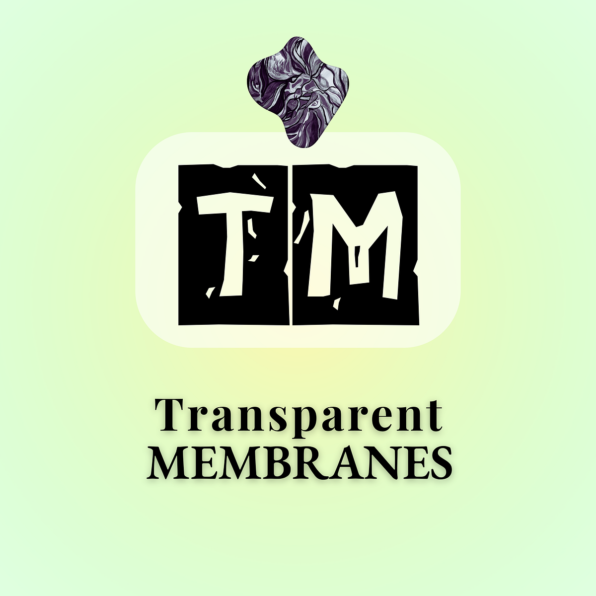 Transparent Membranes Art