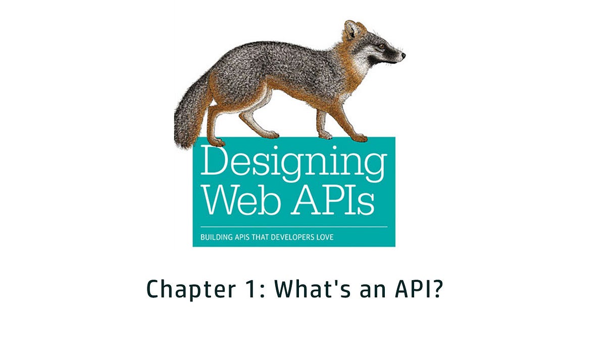 Designing Web APIs: Chapter 1 — What’s an API? | by Mohammed Salah ...
