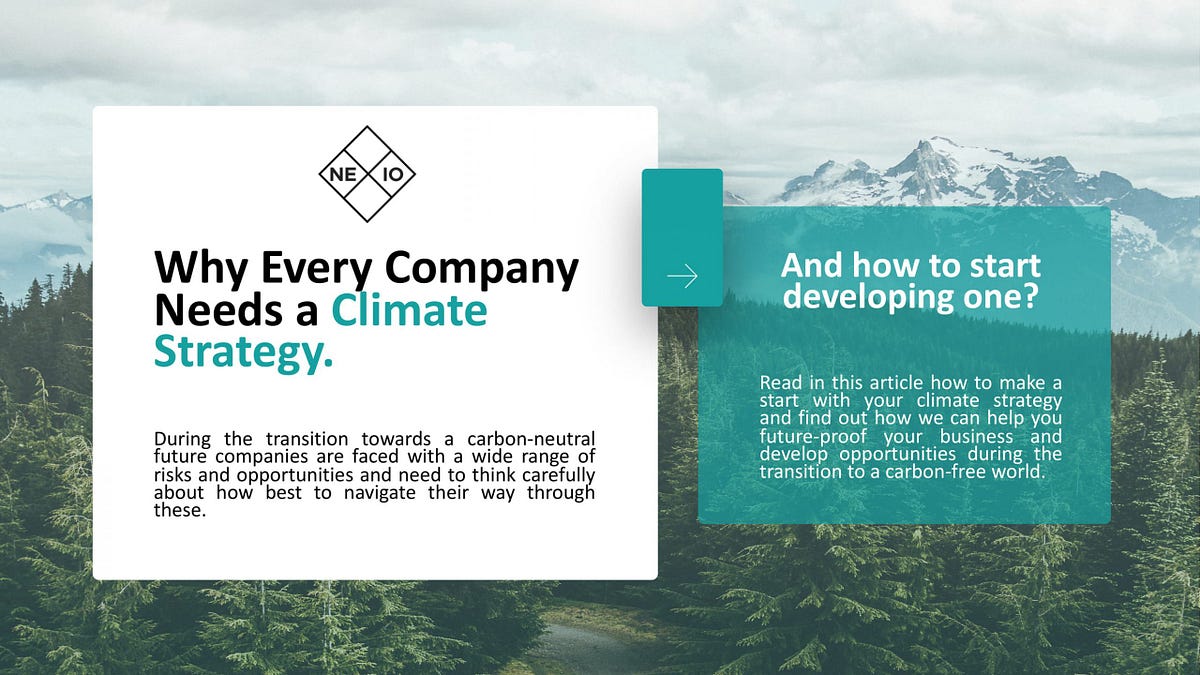 Why Every Company Needs a Climate Strategy | by Leon Laubscher | Medium