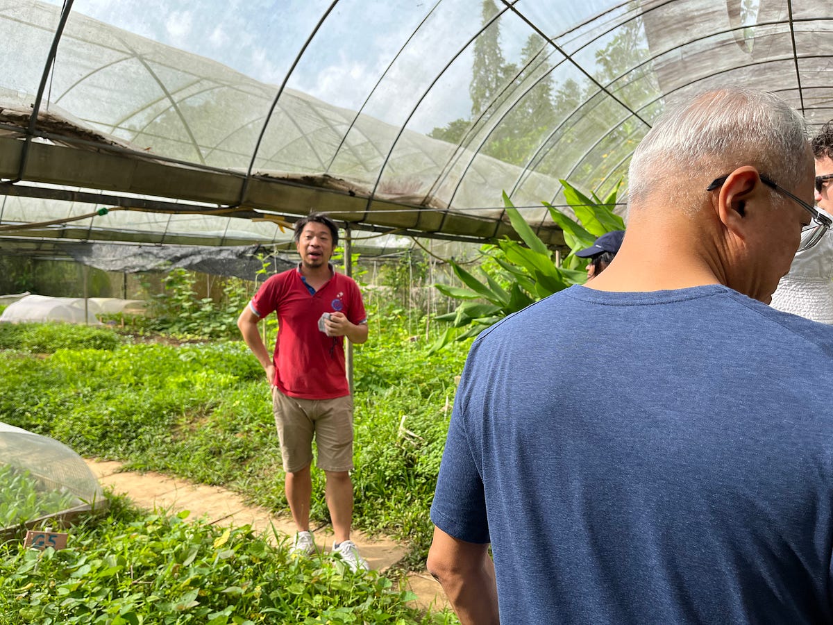 Food sustainability in Singapore. Attaining greater self-sufficiency… | by Exploregeog | Medium