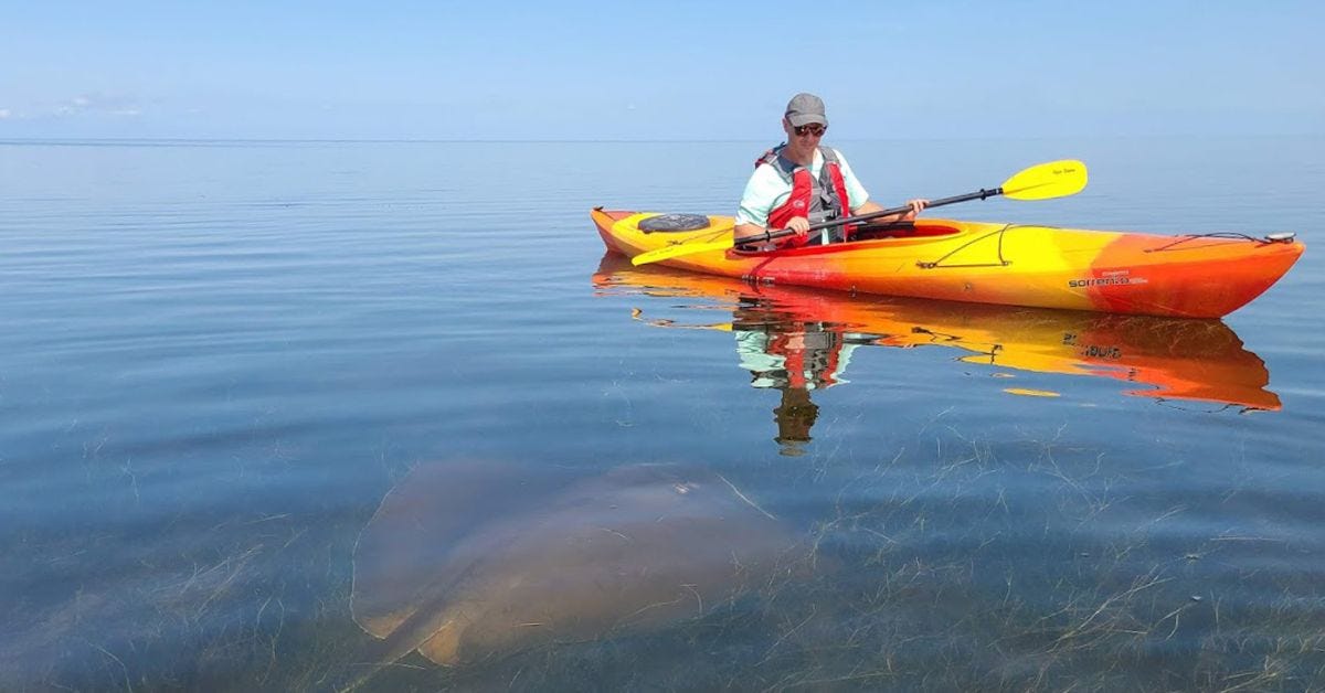 Paddle Your Way to Adventure: Exploring the Thrills of Kayaking in ...