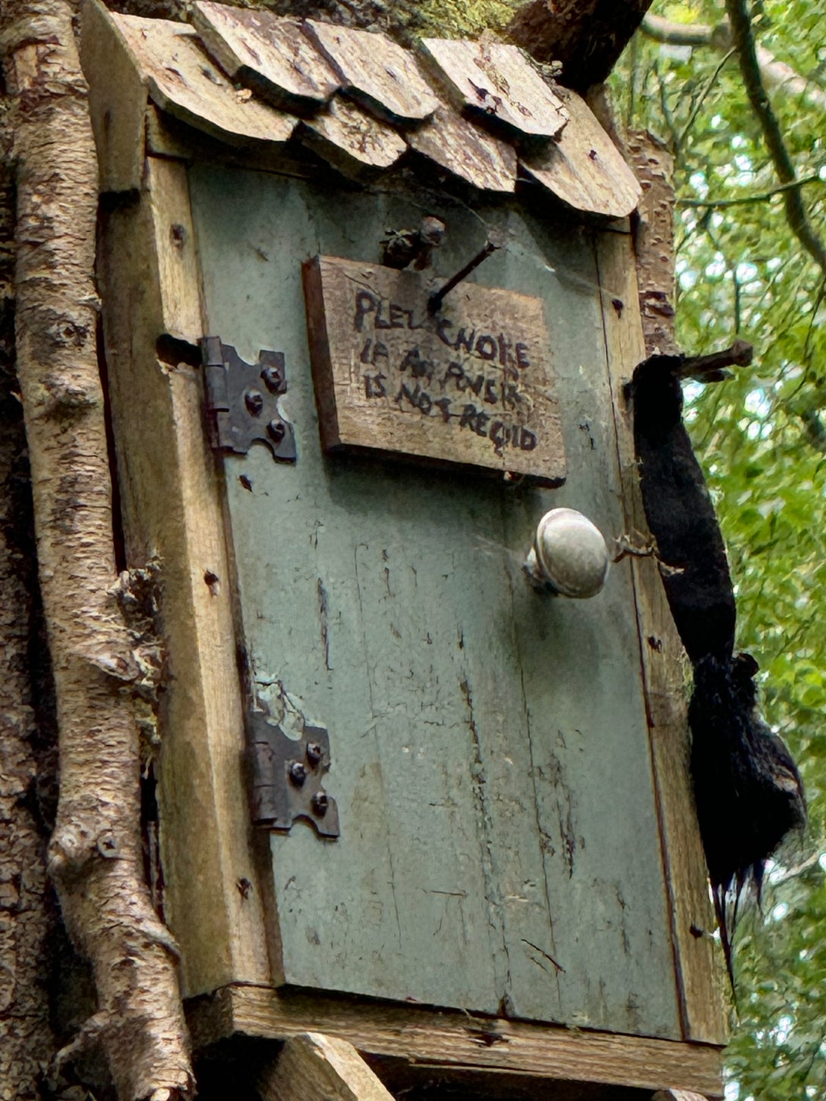 CS10 — Pooh Sticks. Short Story — In search of Winnie the… | by Sarah ...