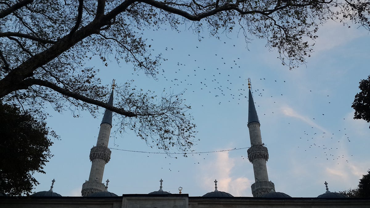 Hû…. Adın dilime mıh gibi oturmuş, | by Derin_Denizden | Medium