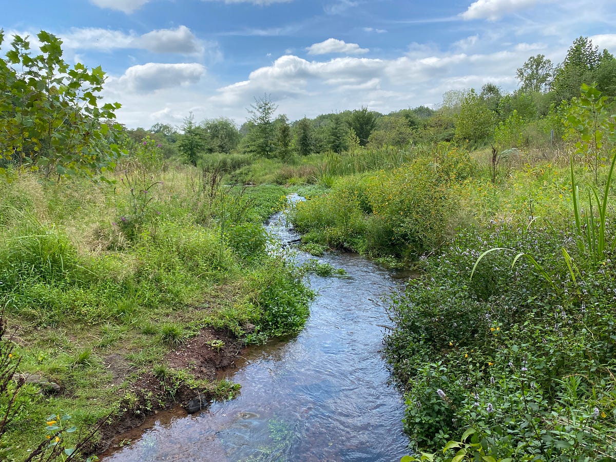 Traveling Blind. Hybrid prose poem: Master Cohen prompt… | by Breathe ...