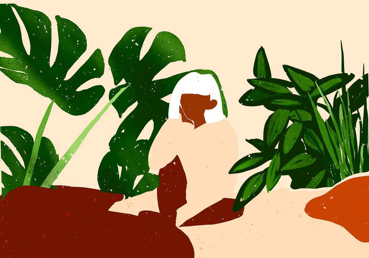 What house plants can teach us about future-proof design | by Carine Ru ...