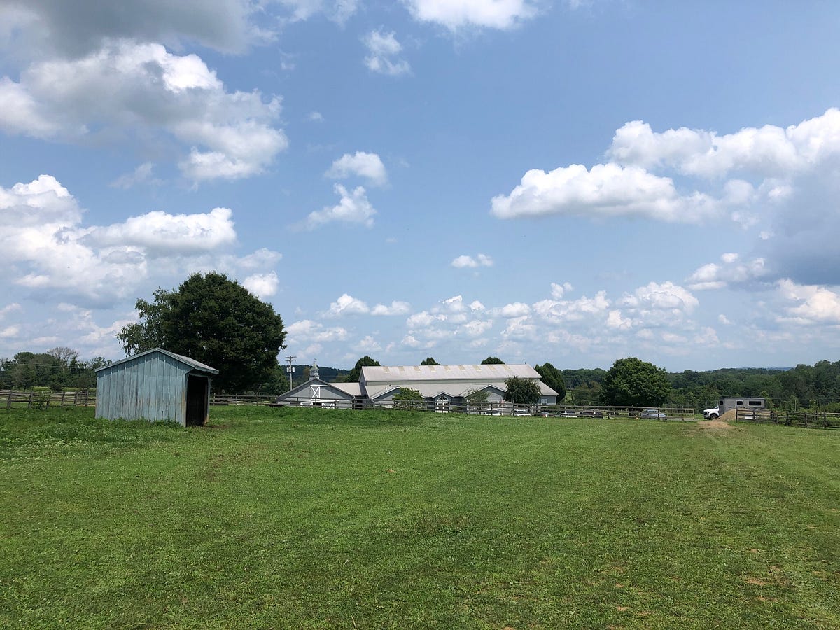 The Clouds: Haiku - Blue Insights - Medium