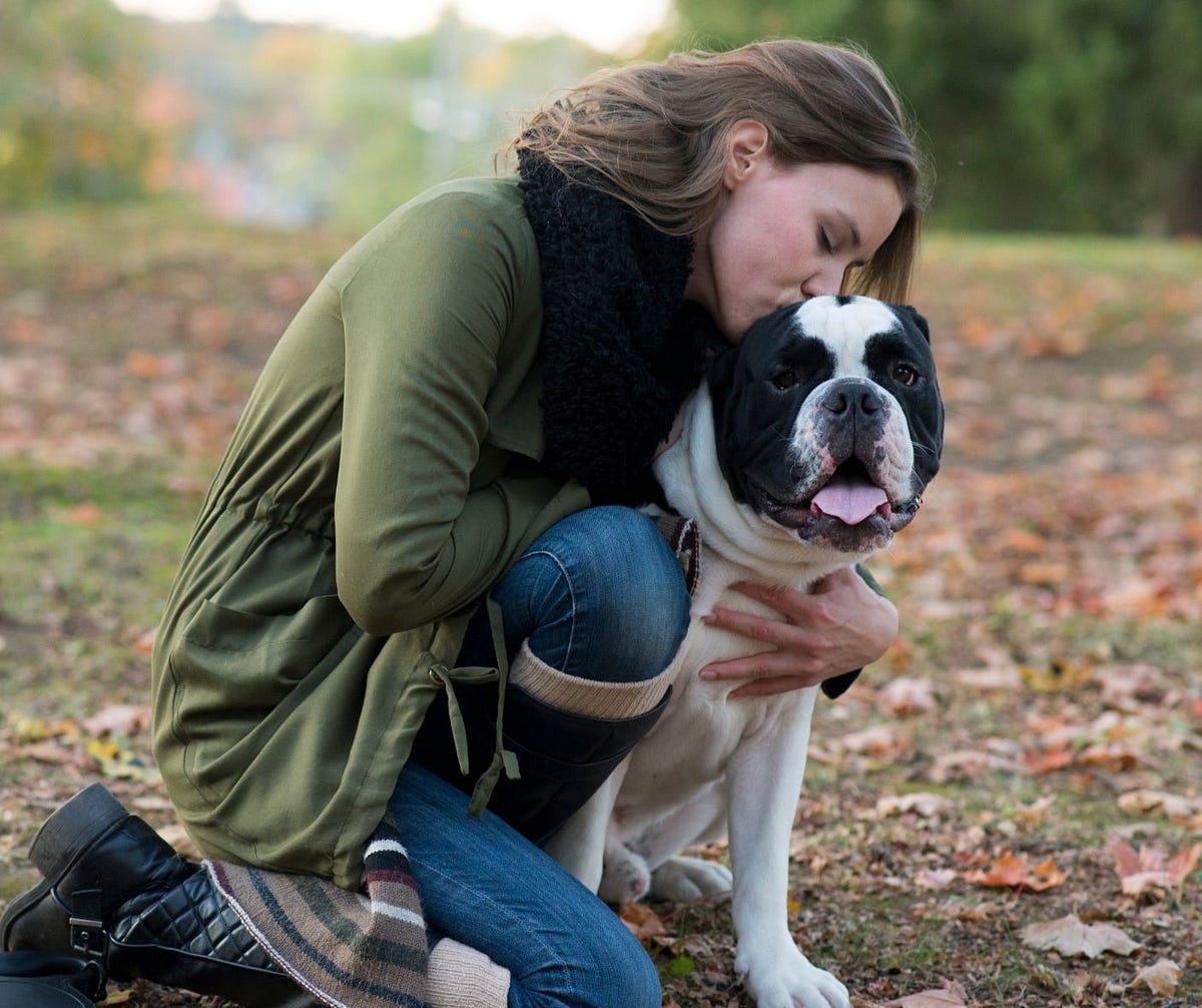 Why Dogs are Better Than Teens. There is nothing wrong with being a dog ...