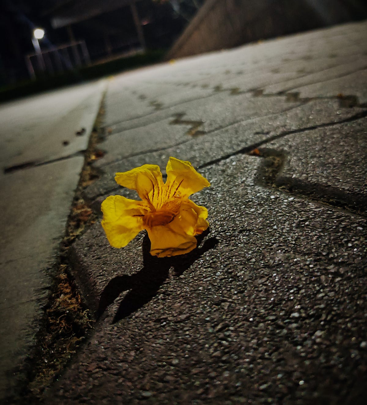 Bit lonely yet hopeful - Jain - Medium
