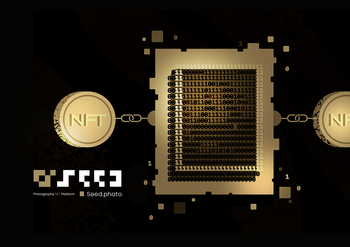 Separating the NFT Wheat from the Chaff: Understanding Value in the ...