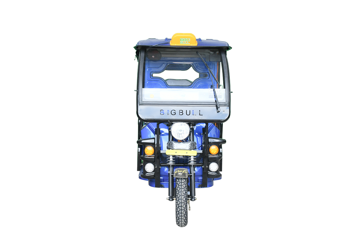 Future of Big Bull E-Rickshaw. Diversification of Product Range… | by ...