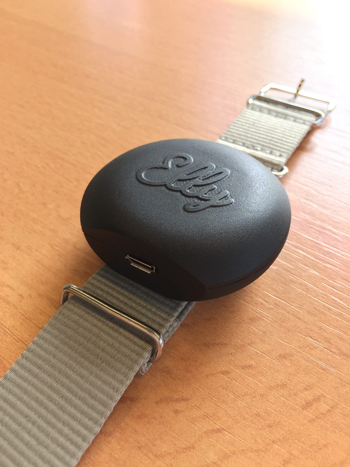 How ‘bout Elly?. As mentioned on our website, Elly Watch… | by Sam ...
