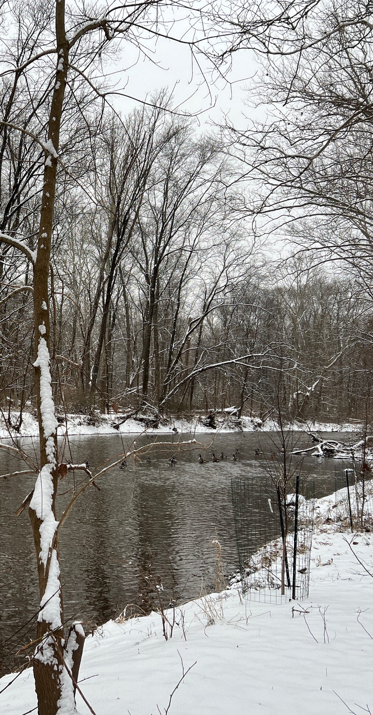 Sunday Poem 2024 1 21: Cold Thoughts Winter at last, for a week, early ...