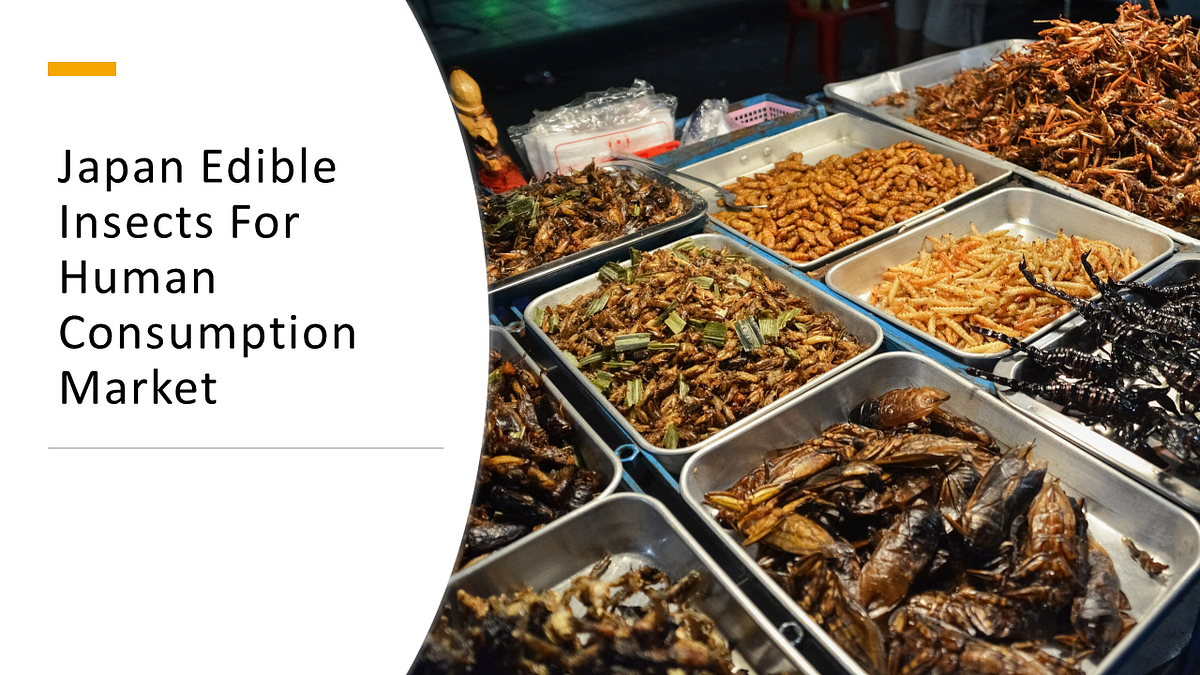 Japan Edible Insects for Human Consumption Market | by IMIR ...