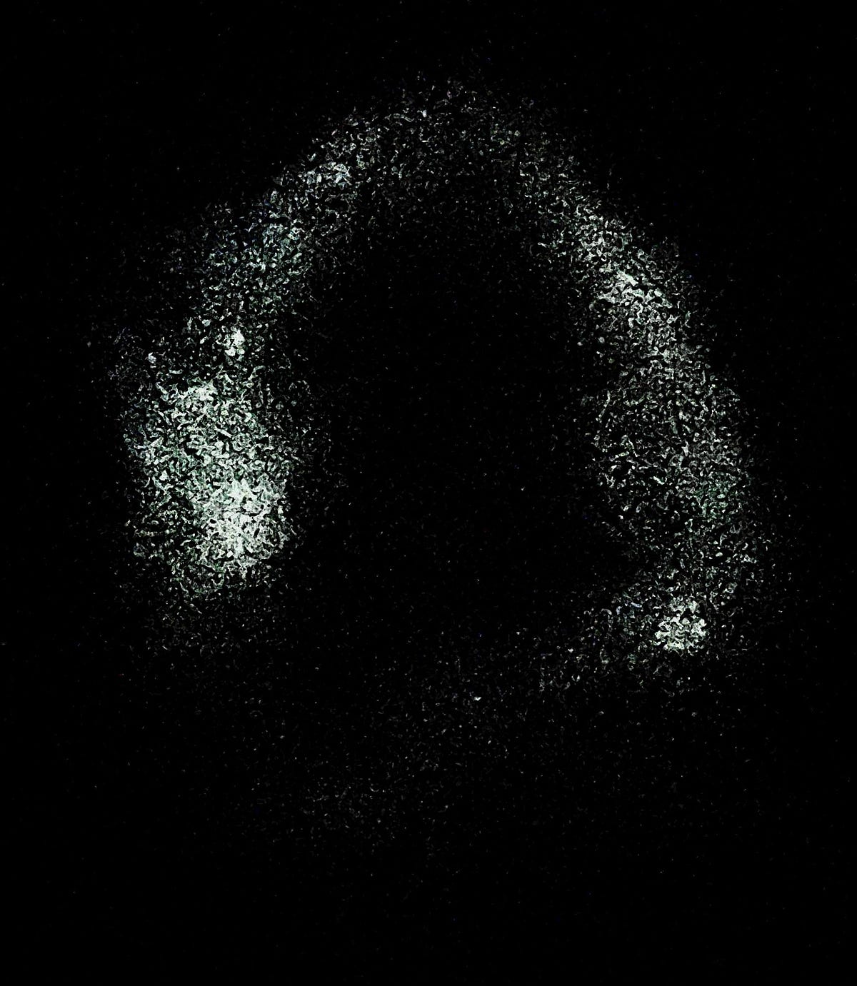 Panellus Stipticus Bioluminescent Grain Spawn Jars | by Lucy M. | Medium