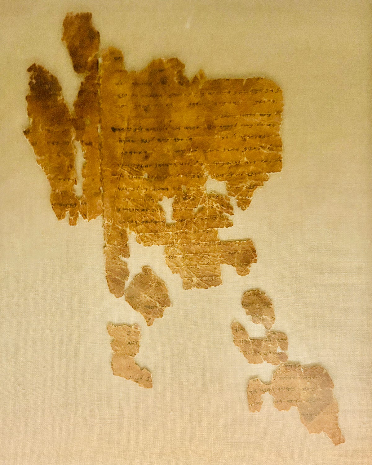 Torah Club — Week of 10–17–2025 — Bereishit | by Robbie W | Medium