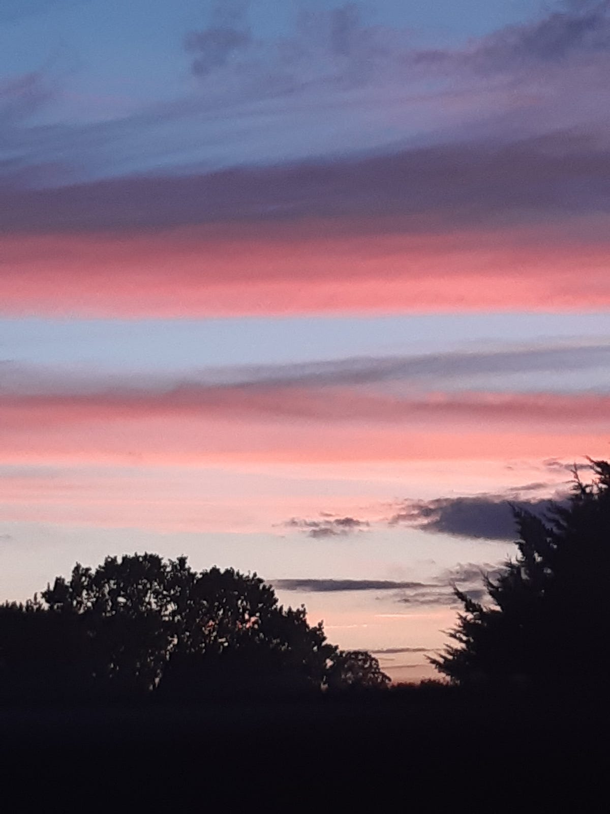 Photos taken from my Attic (Part 6) | by Filza Chaudhry | Heart Revolution | Medium