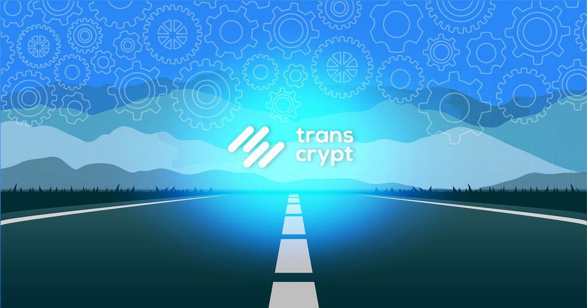 TransCrypt leads the way in crypto governance | by TSRPAY | Medium