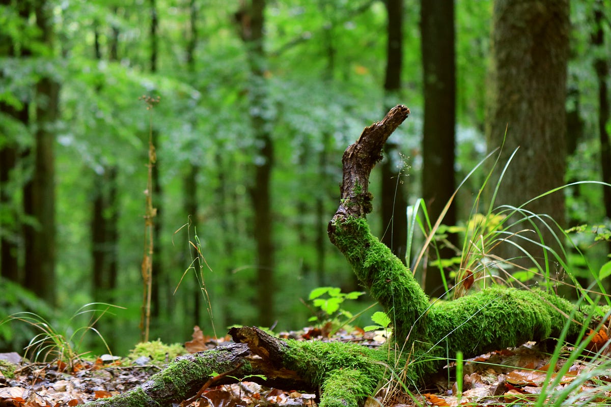 How to Change Your Perspective. Change your perspective for a wider ...