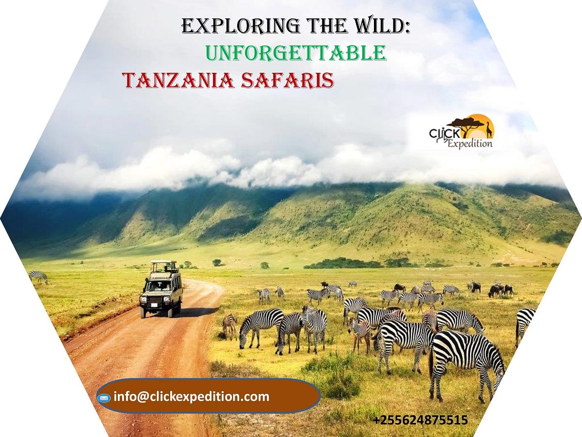 Exploring the Wild: Unforgettable Tanzania Safaris | by Click ...