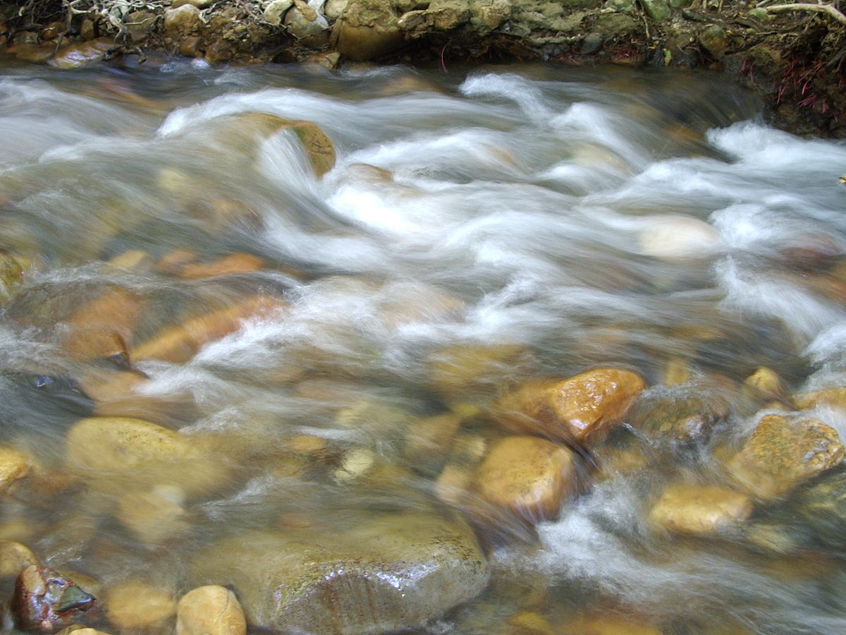 The pure, bubbling water of democracy | by Chris Deerin | Medium