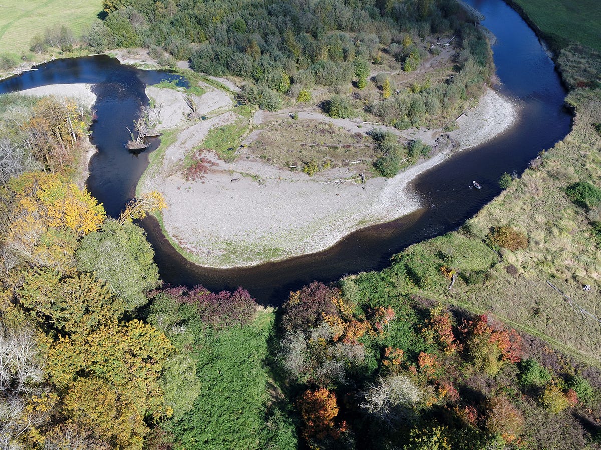 Chehalis Basin restoration projects underway this summer | by The ...