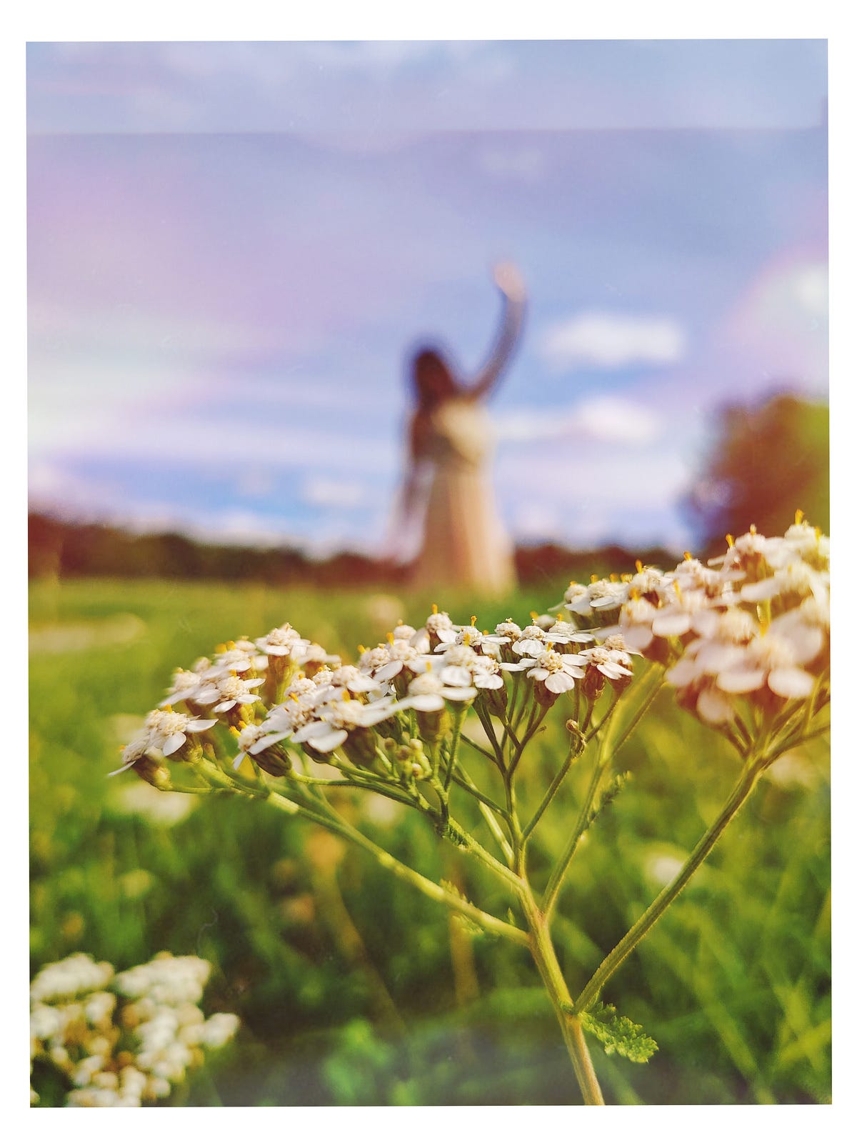 My Favorite Place. Embracing Tranquility: A Poem of… | by Suprenquill ...