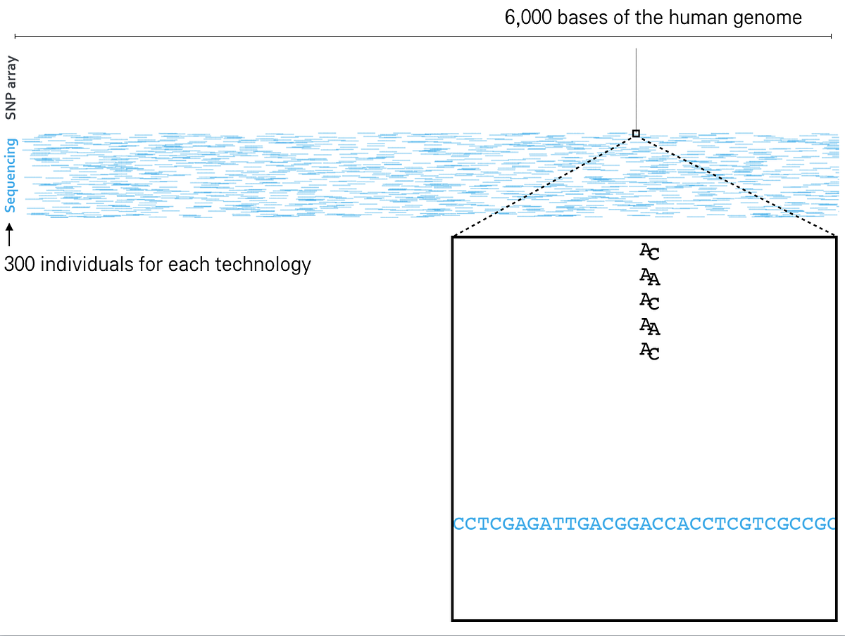It is time to replace genotyping arrays with sequencing | by Joe ...