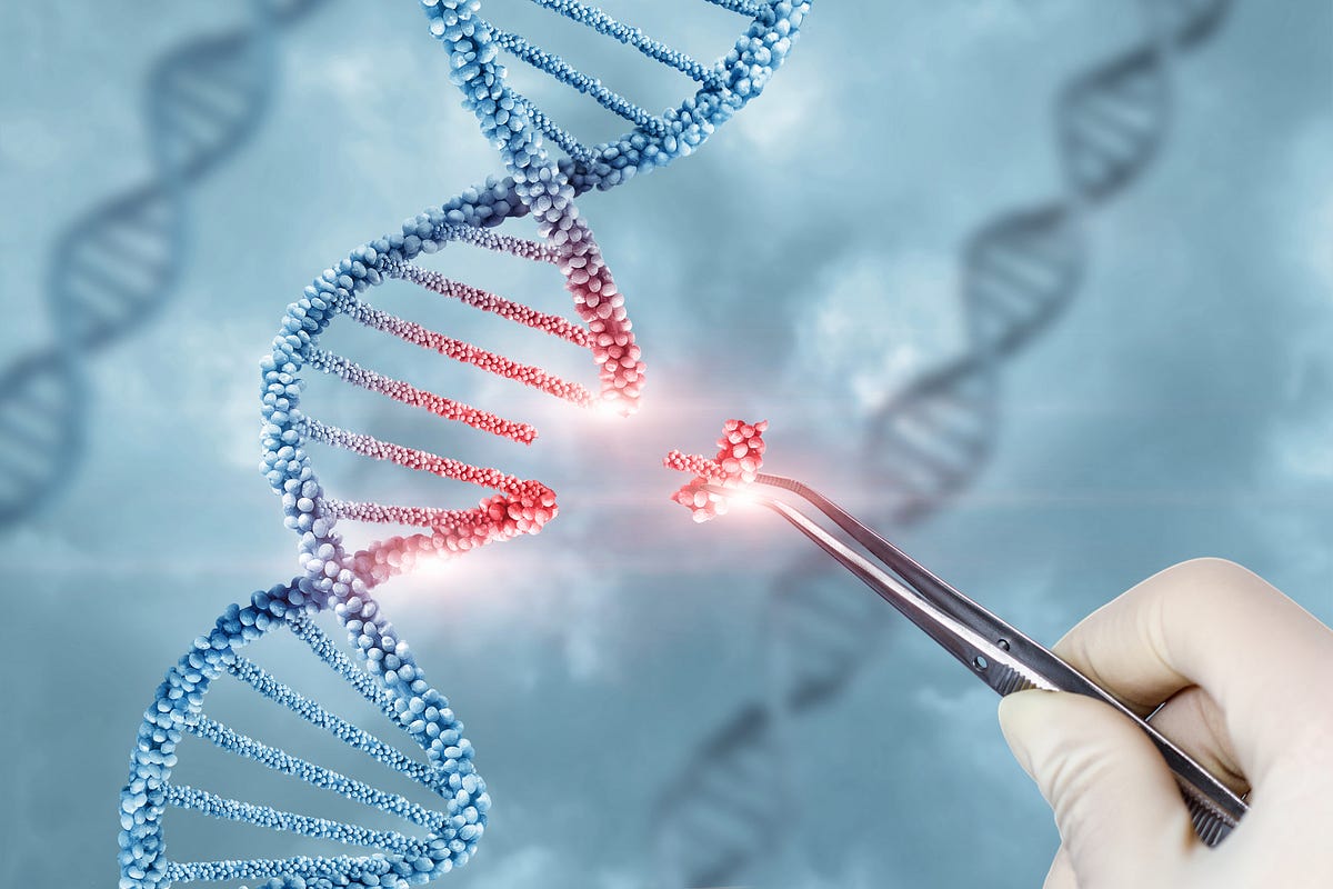The Beam Therapeutics Story:. THE INCEPTION OF BASE EDITING: | by ...