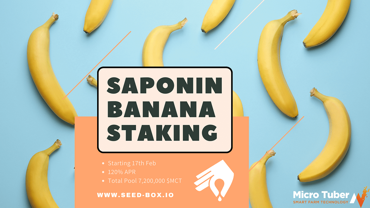 Microtuber Presents Saponin Banana Staking, 120% APR, Seed-box.io | by ...