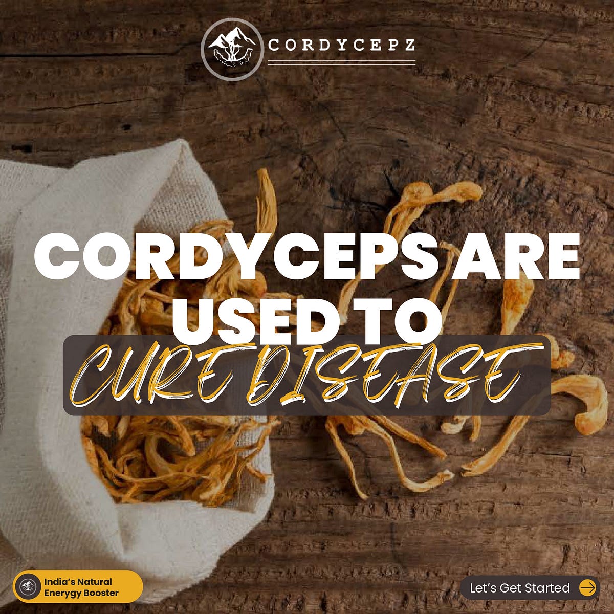 Cordyceps are used to Cure Disease - Cordycepz Cure - Medium