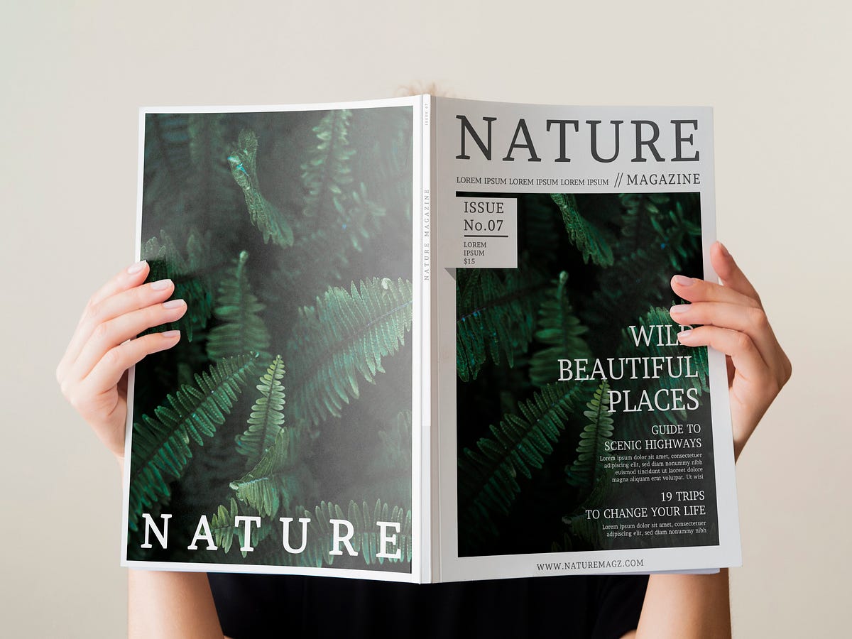 The Rise of Online Magazines and How They are Changing the Publishing ...