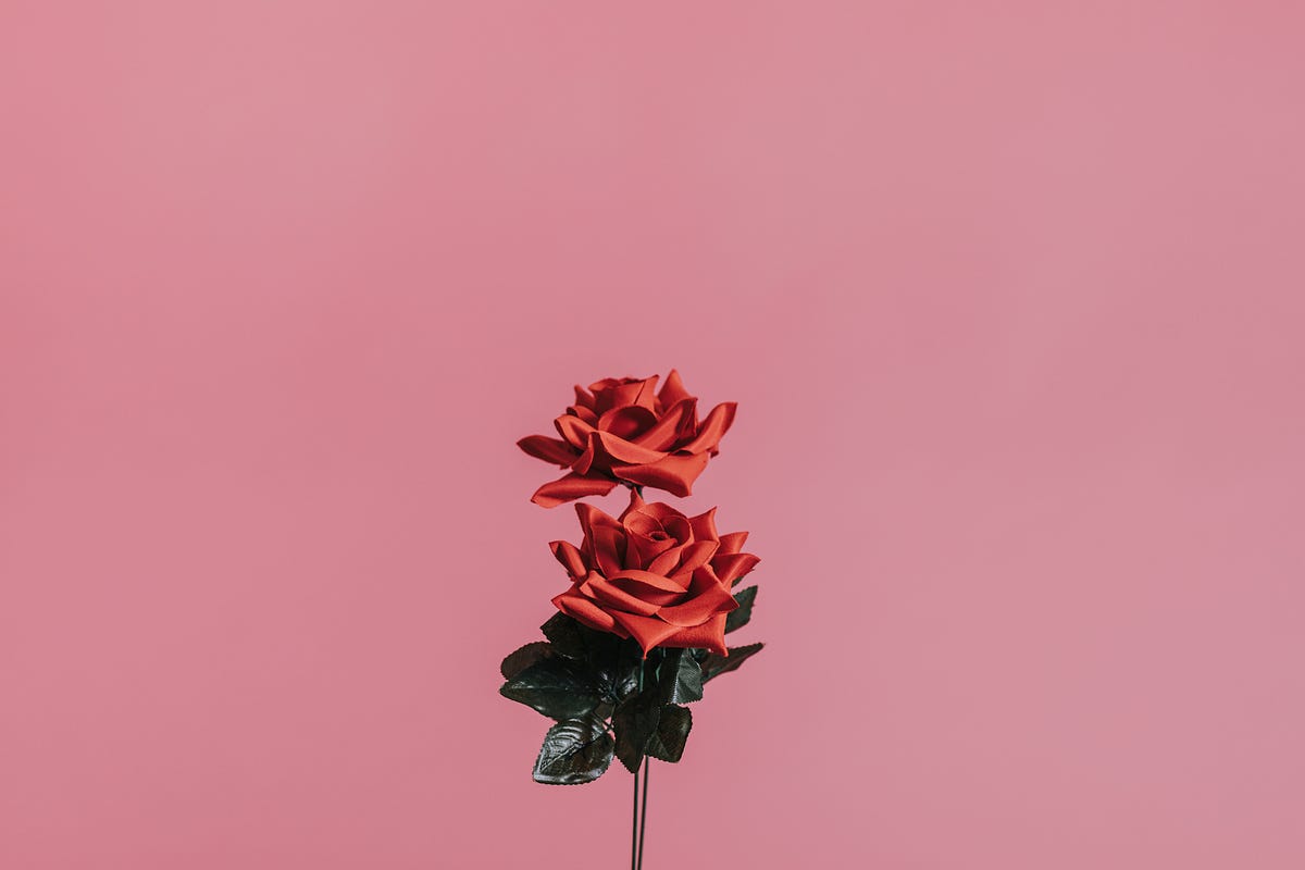 Unattainable Love. My parents created too high of… | by Madi | What Is ...