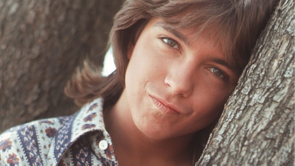 We Need to Talk About Keith Partridge’s Hair | by Sheila Tracy | The ...