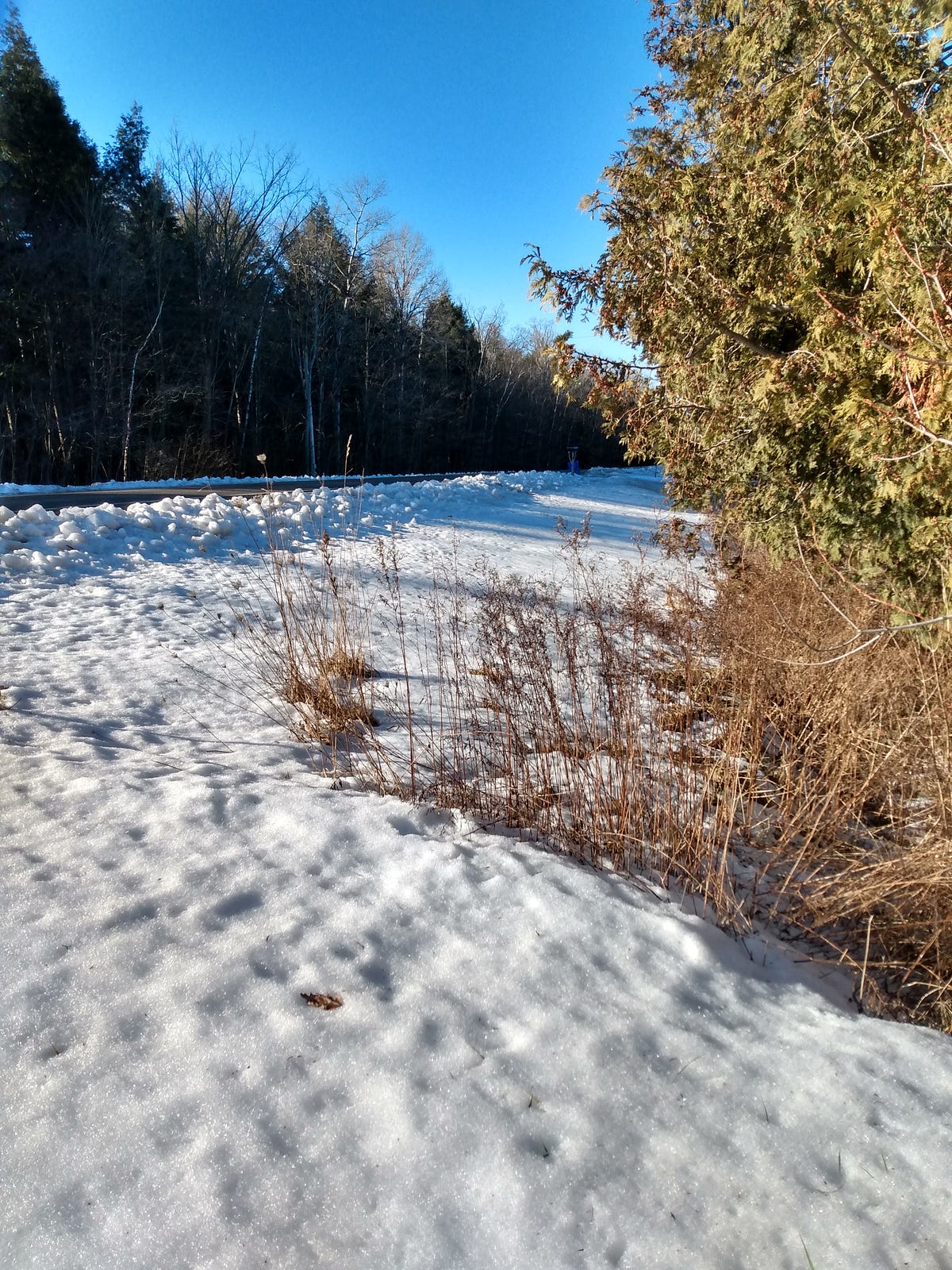Venturing Out After a Heavy Snowfall | by Lynne Collier | Ride The Wave ...