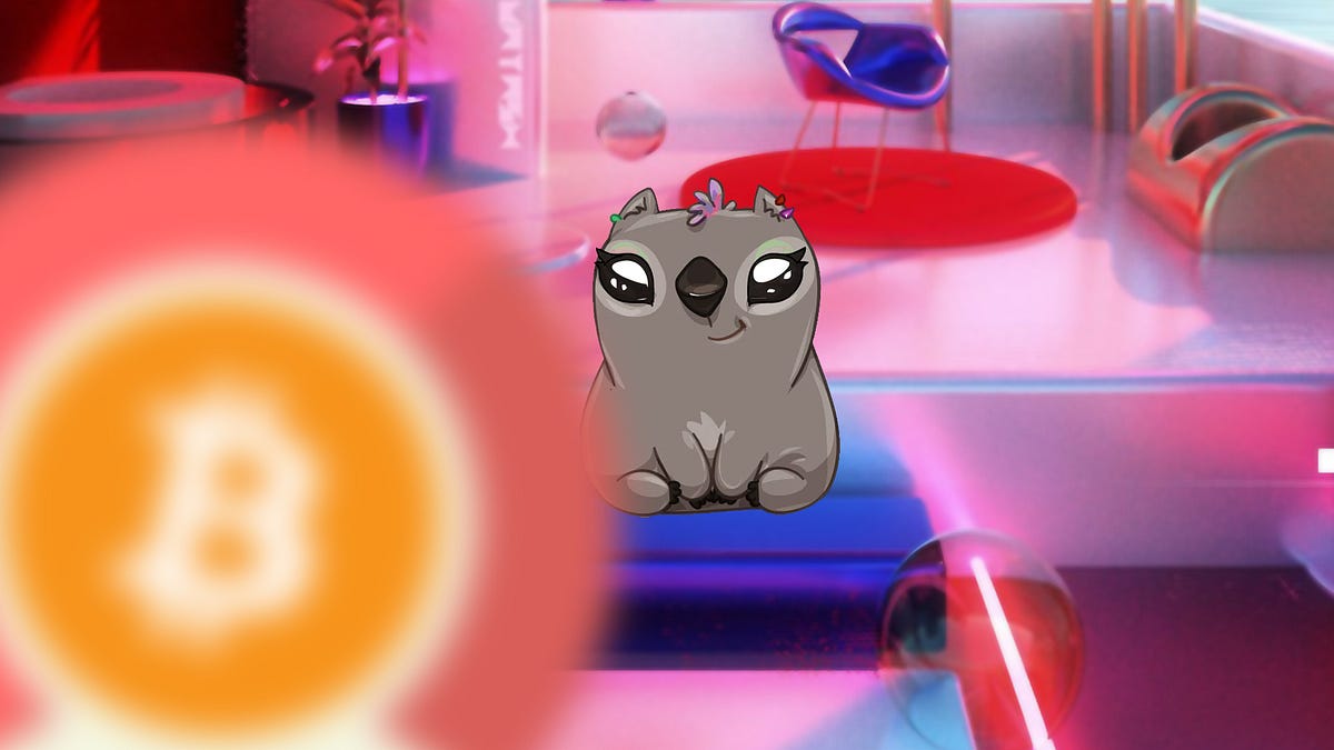 Bitcoin comes to Wombat!. You’ve been asking if Wombat will ever… | by ...