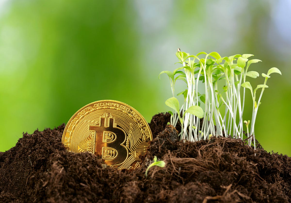 Transforming Finance: The Impact of ESG Factors on Blockchain and ...