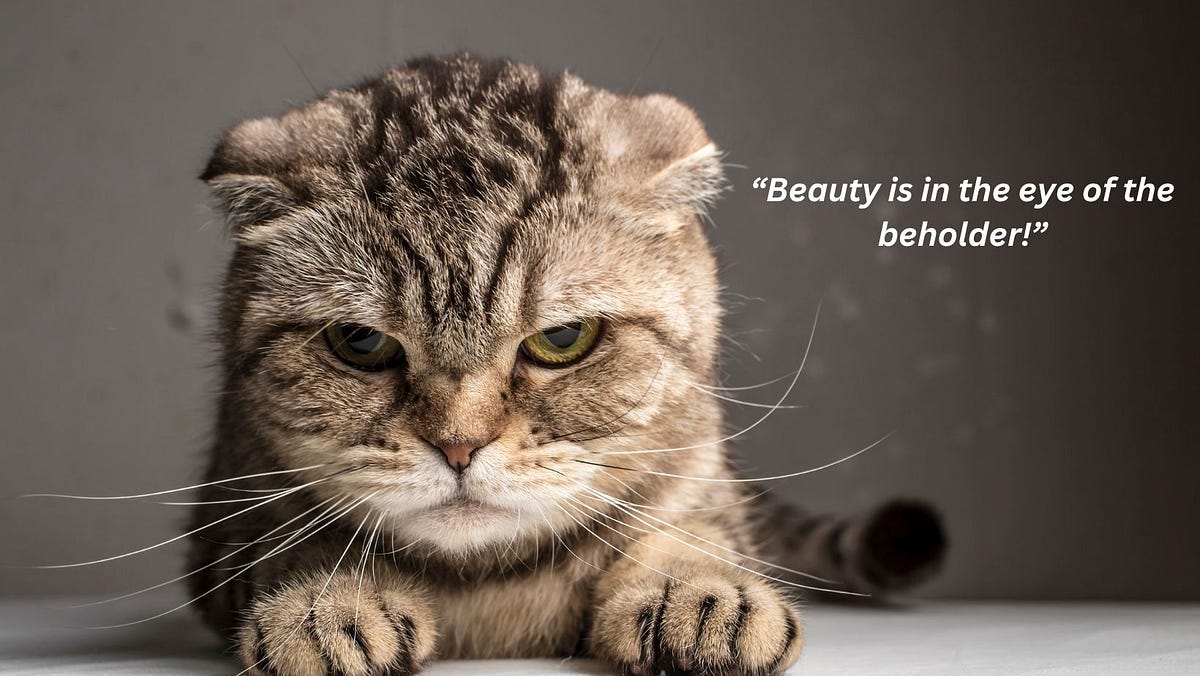 Breaking Mirrors Another Look. My Inner Conversation with author Stark ...