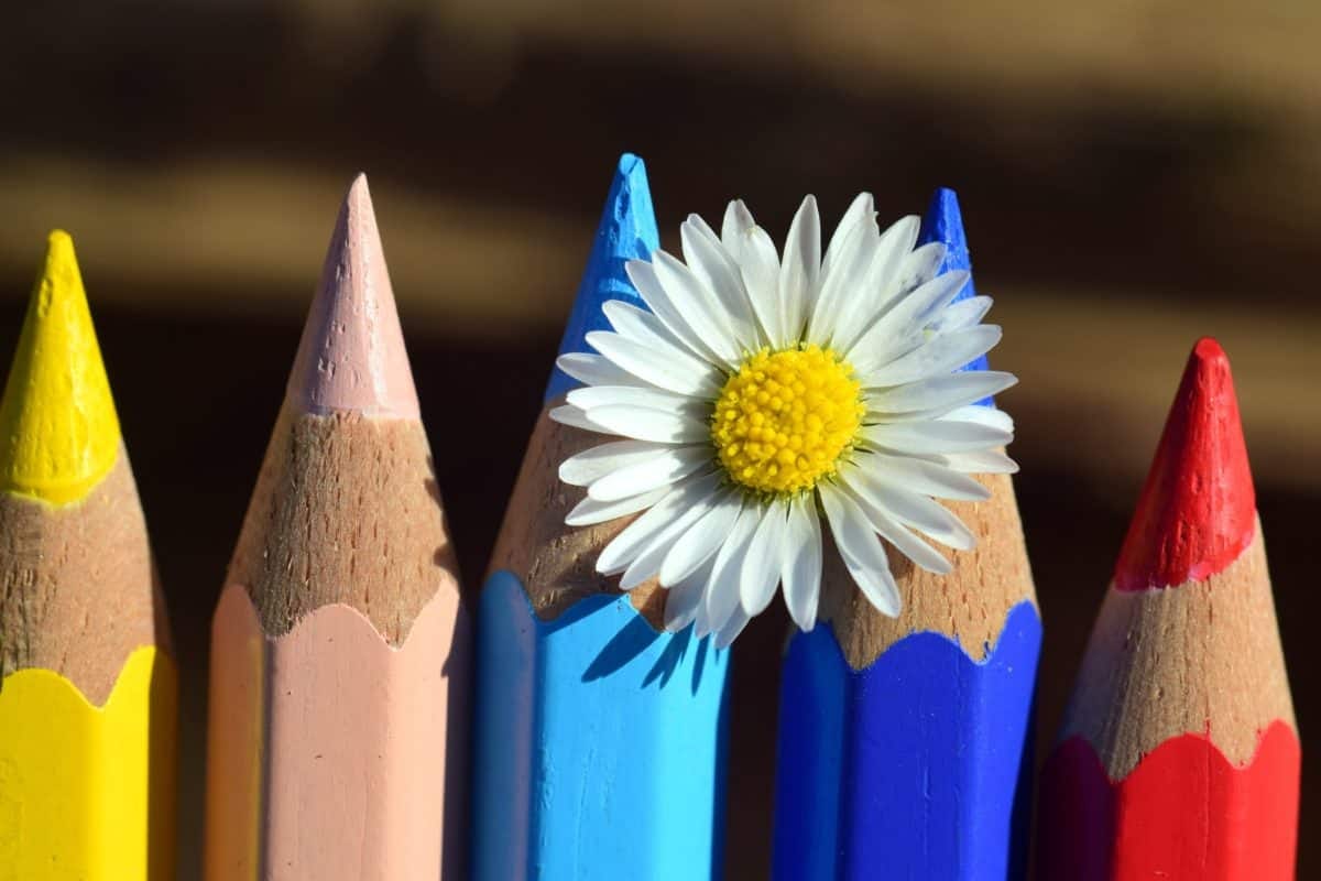 46 Writing Contests in June 2019 — No entry fees | by Erica Verrillo ...