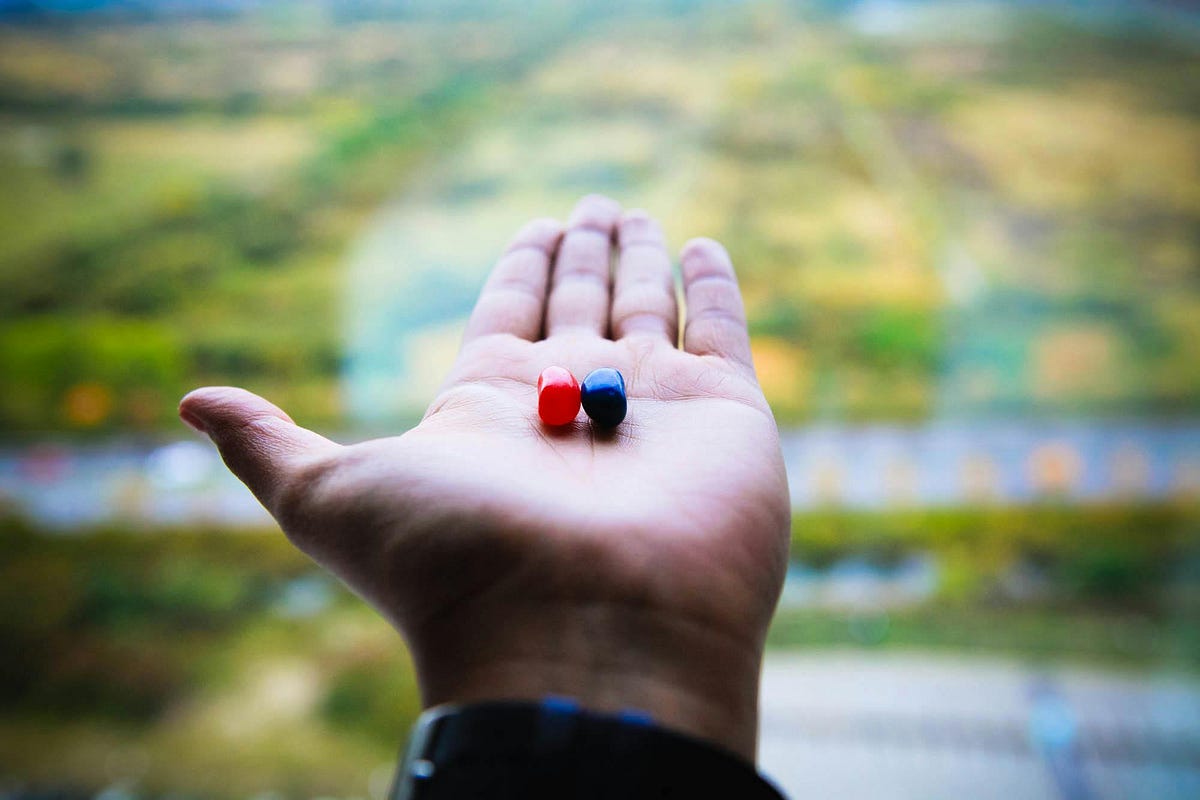Does Data Beat Gut Instinct? (A Simulation of Two Risk Decision ...