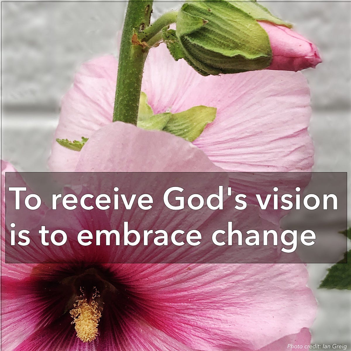 To receive God’s vision is to embrace change | by Ian Greig | Faith ...
