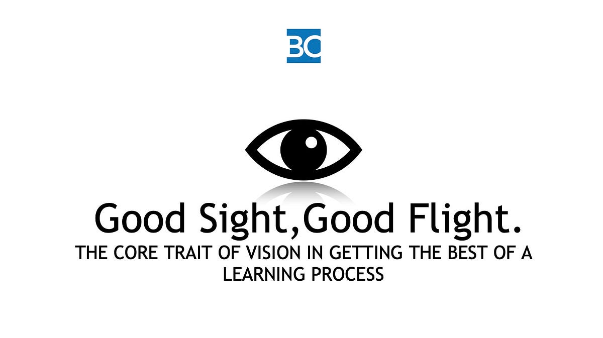 Good Sight, Good Flight: The Core Trait of Vision in Getting The Best ...