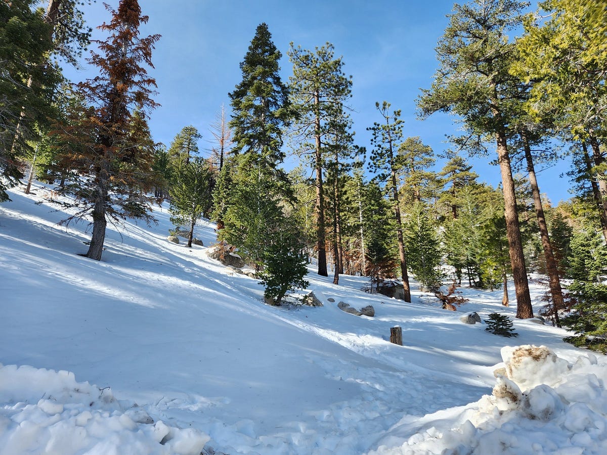 Heavy Snow for Mt. Wilson and Mt. Baldy This Weekend | by Don Simkovich ...