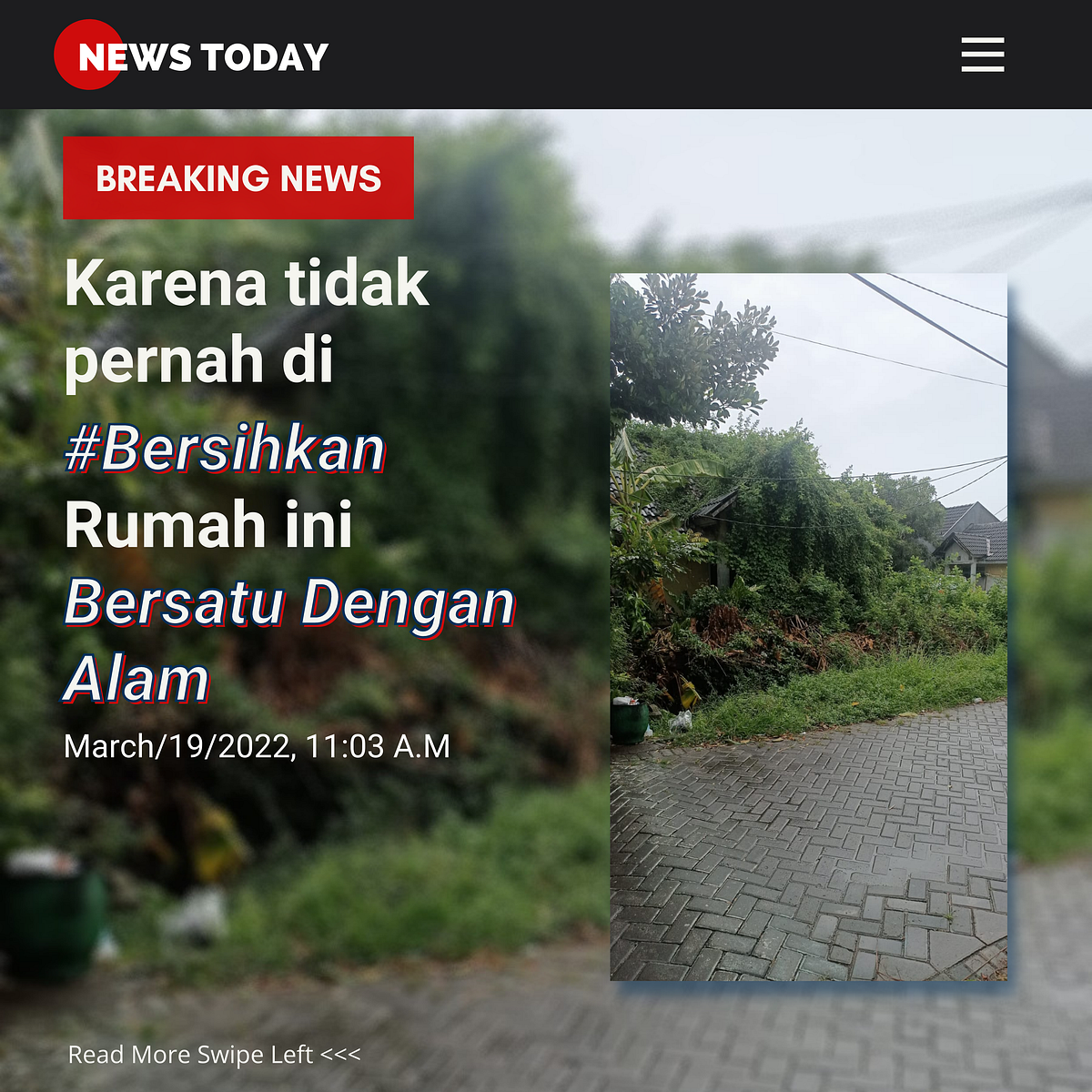 KAGAK MAU KAYAK GINI JUGA KAAAN??? Ayo rumahmu itu istanamu… Masak mau dibiarin ga keurus ...