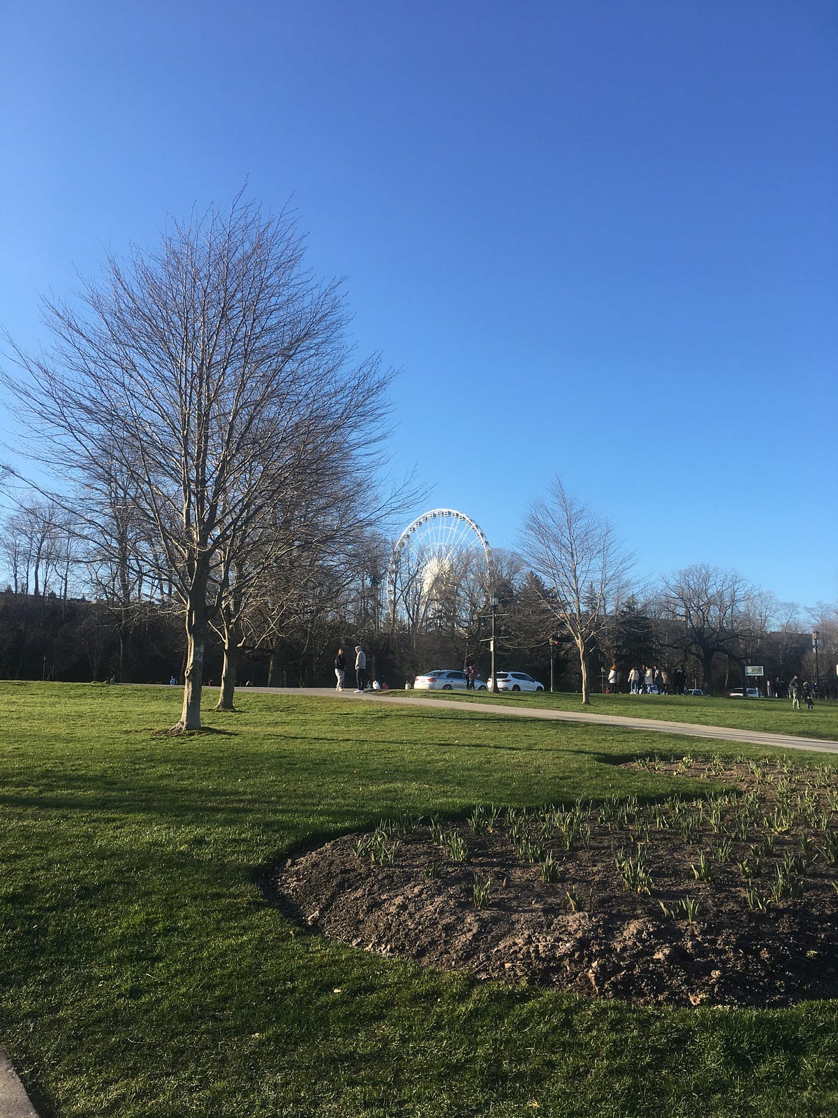 Nature Therapy: Signs of Spring. Spring 2023 Photo Diary | by Faith ...