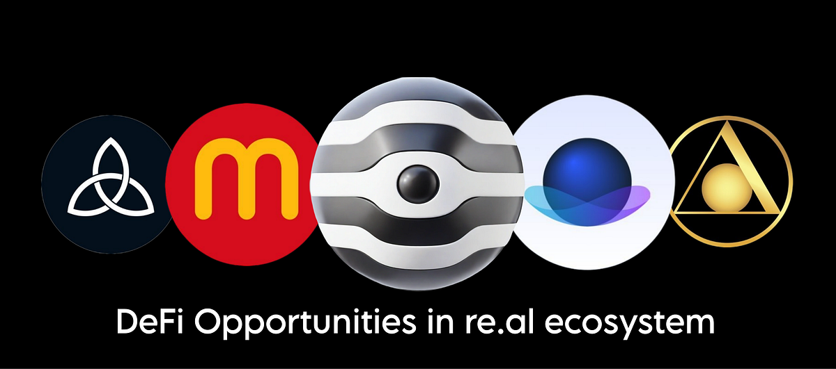 DeFi Opportunities in re.al ecosystem | by Sydney Tammy | Medium