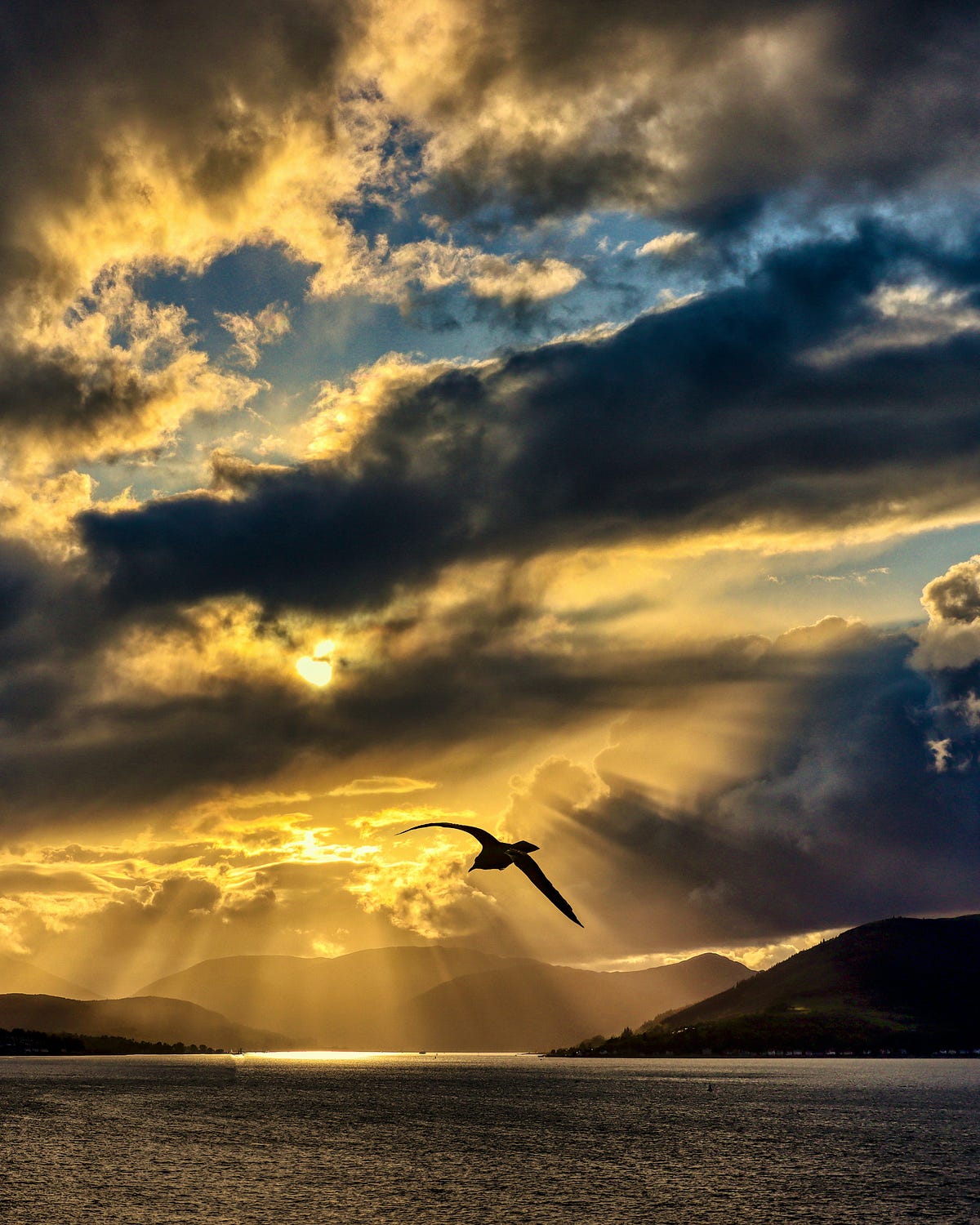Break Free!. A Poem — GO FOR IT, WHATEVER IT IS! | by Markita Wright | Medium