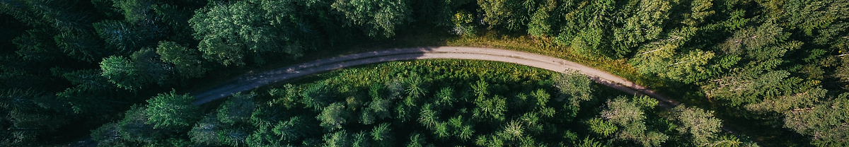 Random Forests 🌳 (Discover, Implement & Repeat) | by Hadrien Crassous ... Random Forests 🌳 (Discover, Implement & Repeat) | by Hadrien Crassous ...